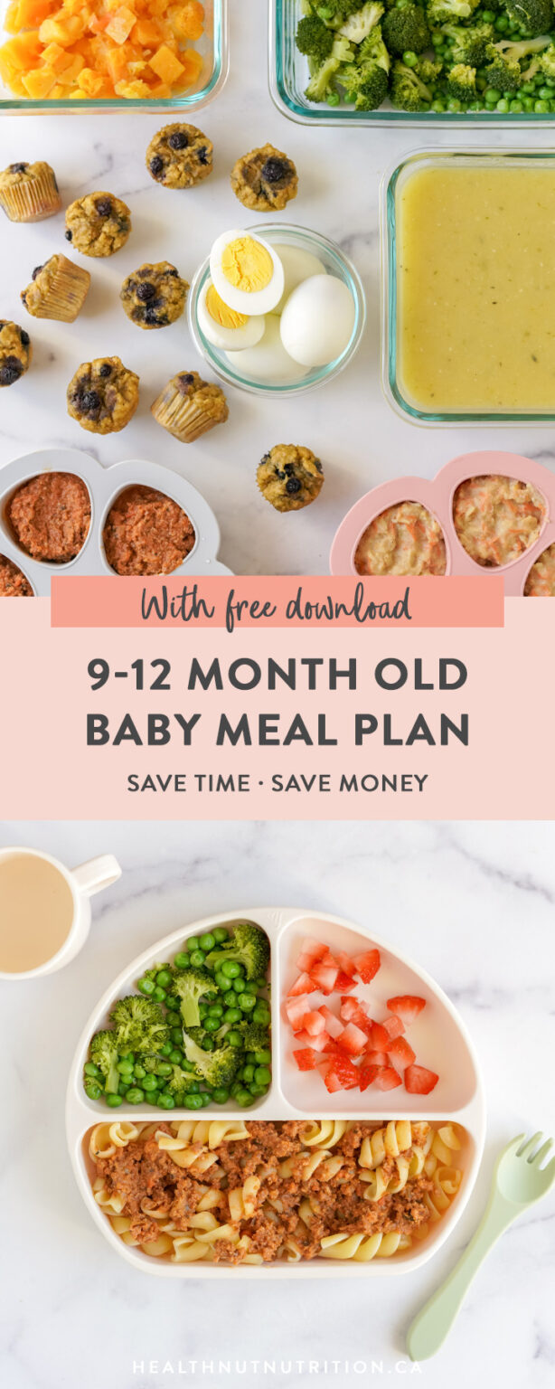 9–12 Month Old Meal Plan (with free download!) - Healthnut Nutrition